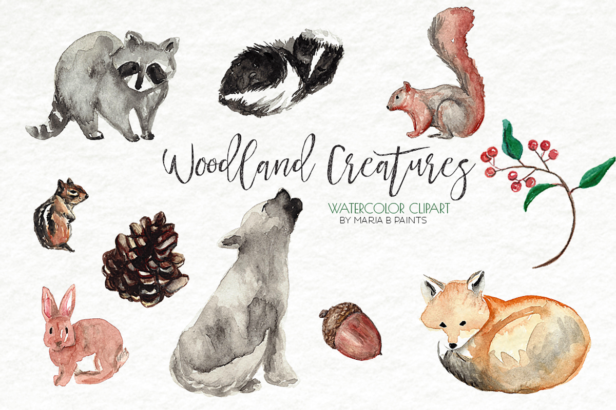 Watercolor Clip Art - Forest Animals, an Animal Illustration by Maria B ...