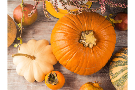 Fall decorative display with pumpkin featuring pumpkin, pumpkins, and ...