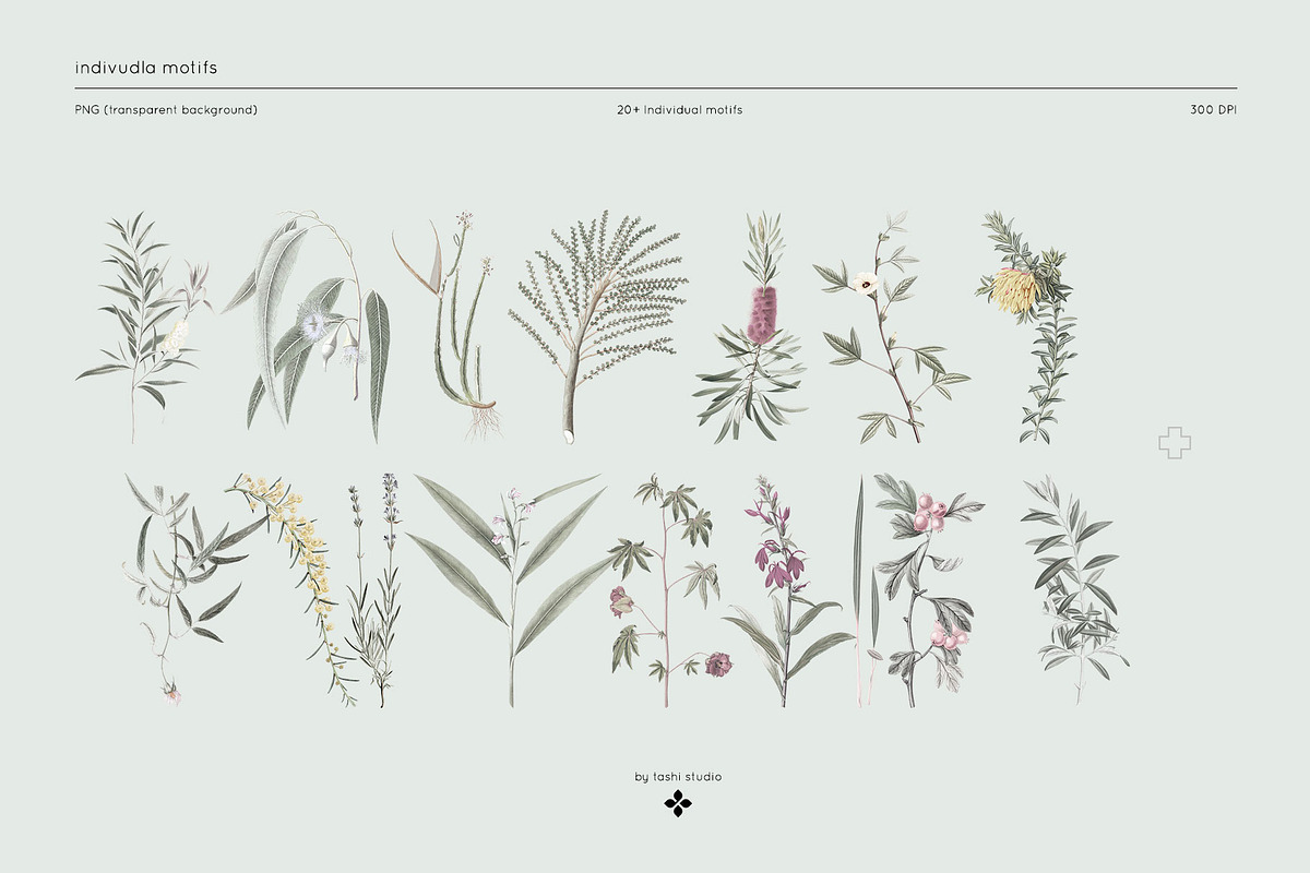 Soft Botanical Pattern Design, a Pattern Graphic by TSTUDIO