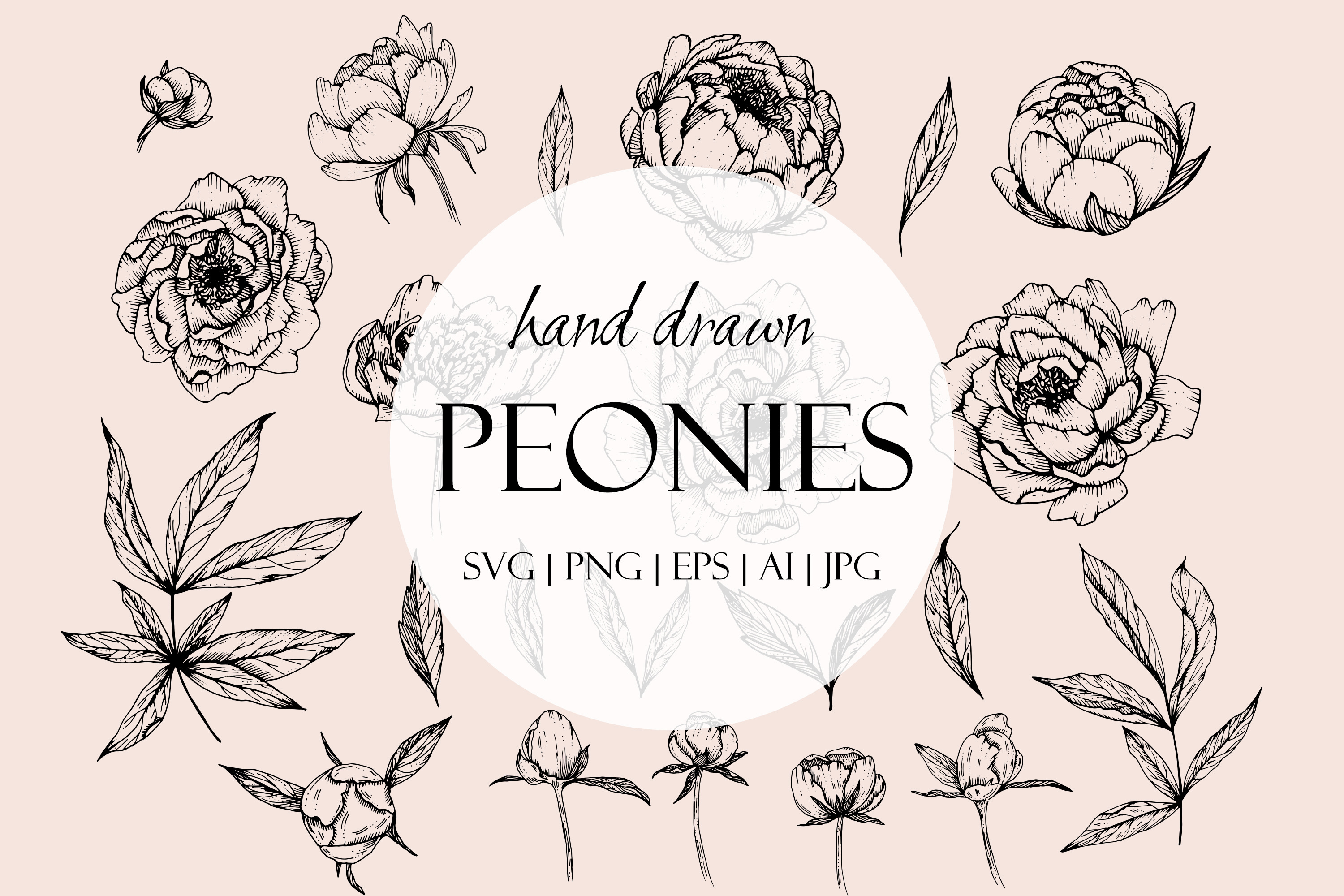 Peonies Line Art Drawing, a Decorative Illustration by Dervik Art Store