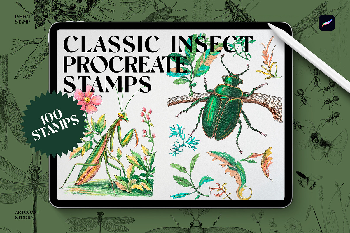 Classic Insect Procreate Stamps, a Shape Add-On by Spasibenko Art