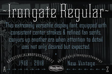 Irongate Bold | Serif fonts ~ Creative Market
