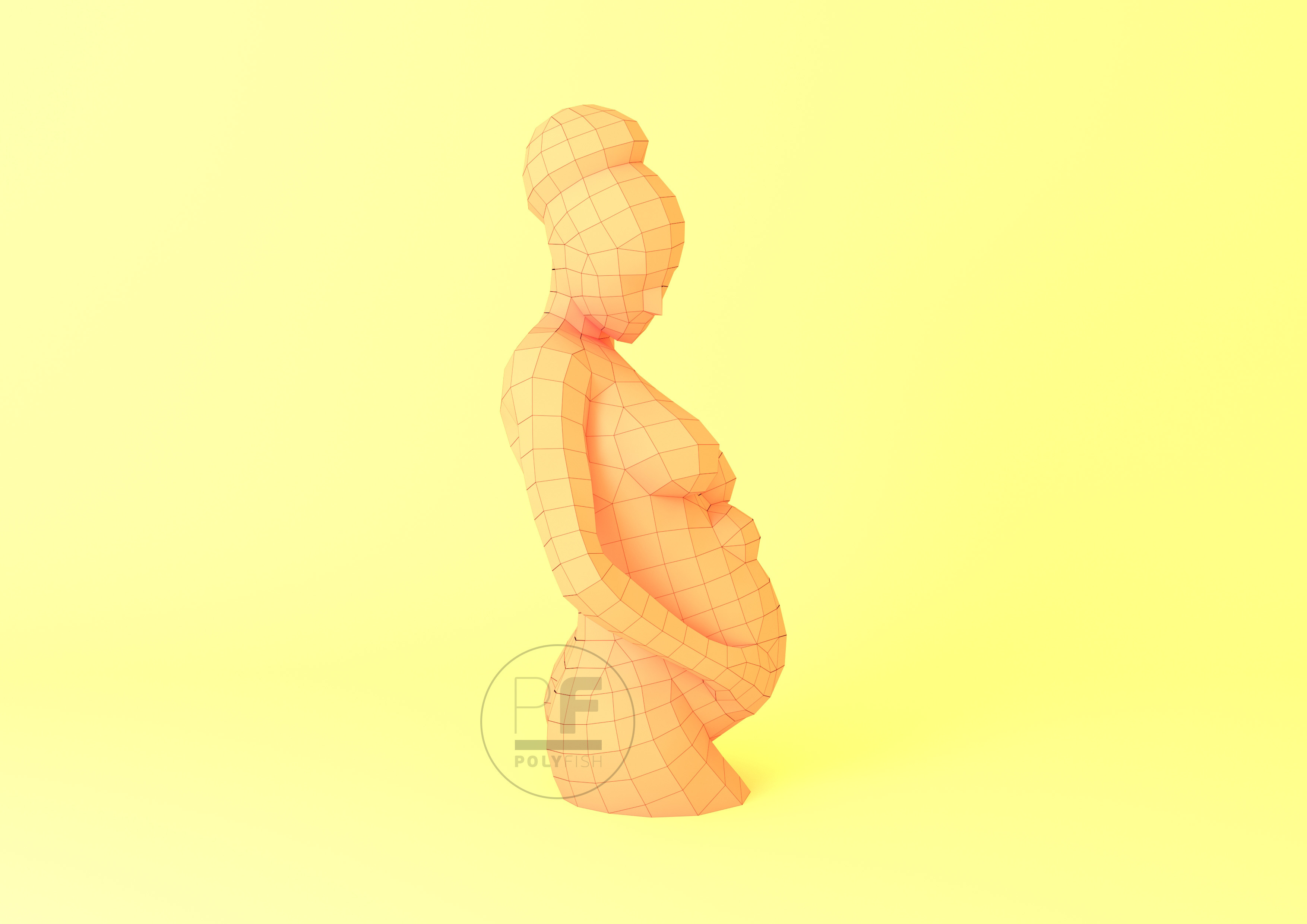 DIY Pregnancy 3D model template, a Templates & Theme by PolyFish ...