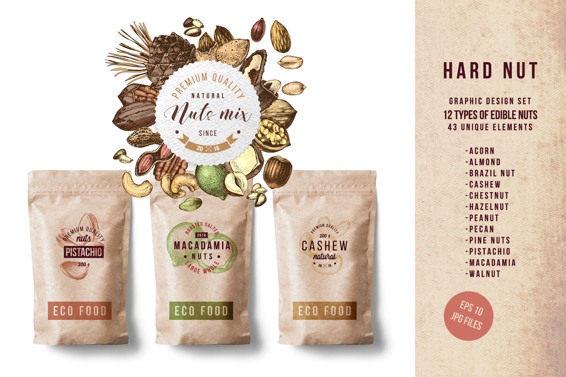 Hard nut graphic design set, a Food Illustration by handsketched