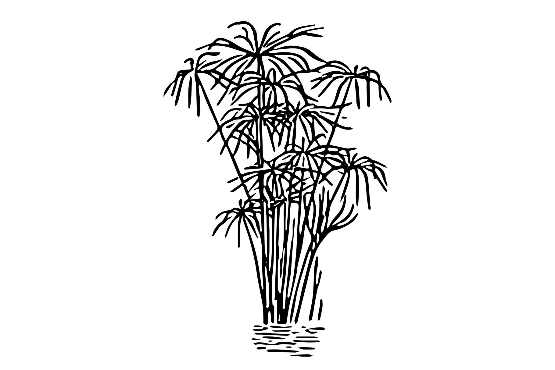 Black outline hand drawing vector il | Decorative Illustrations ...