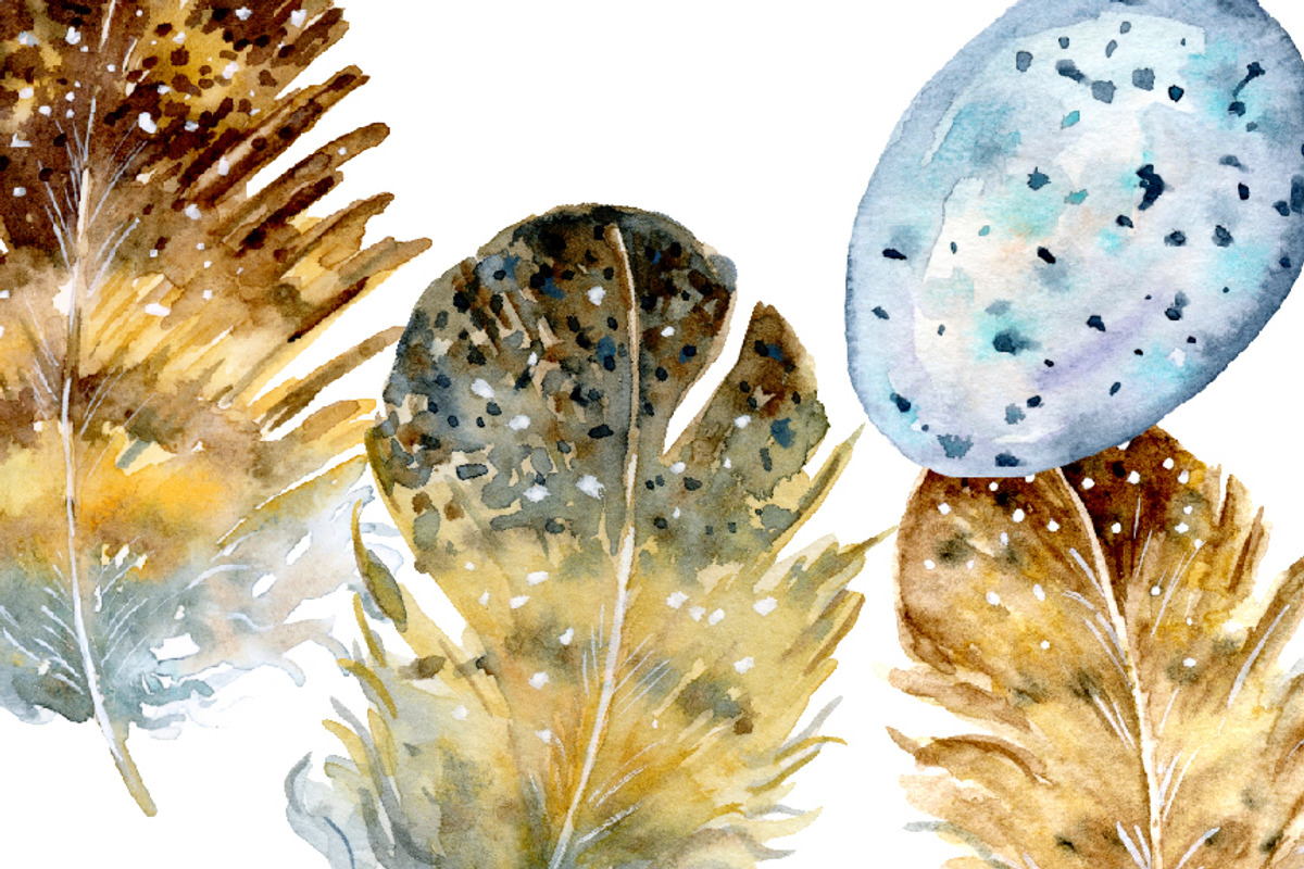 Owl Feather Illustration Clip Art, an Illustration by Corner Croft