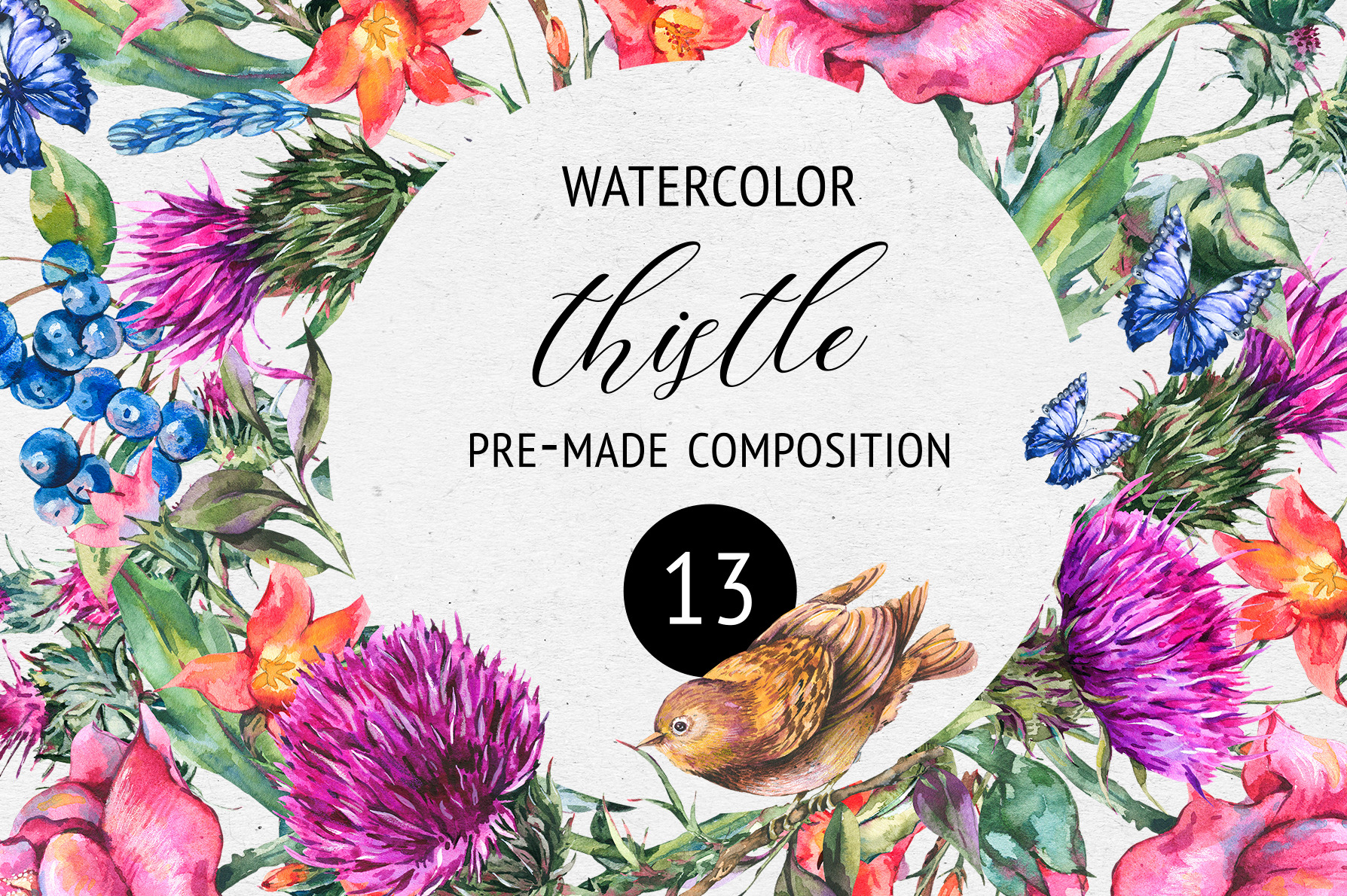 Watercolor Thistle Frame and Cards, a Decorative Illustration by Depiano