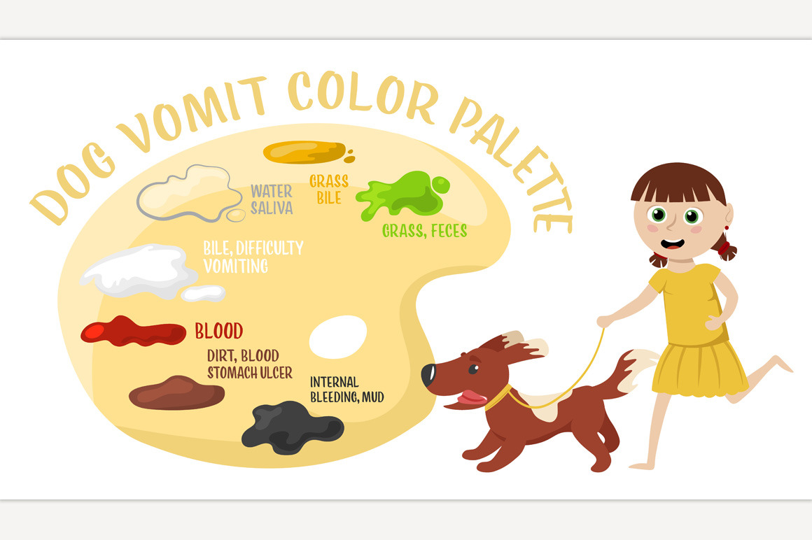 Dog vomit color guide., an Animal Illustration by Anna's Shop