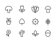 Linear nature icons, an Outline Icon by Microvector