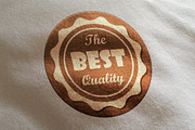 The Best Quality Logo, a Branding & Logo Template by BdThemes