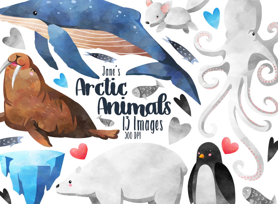 Watercolor Arctic Animals Clipart, an Animal Illustration by DigitalArtsi