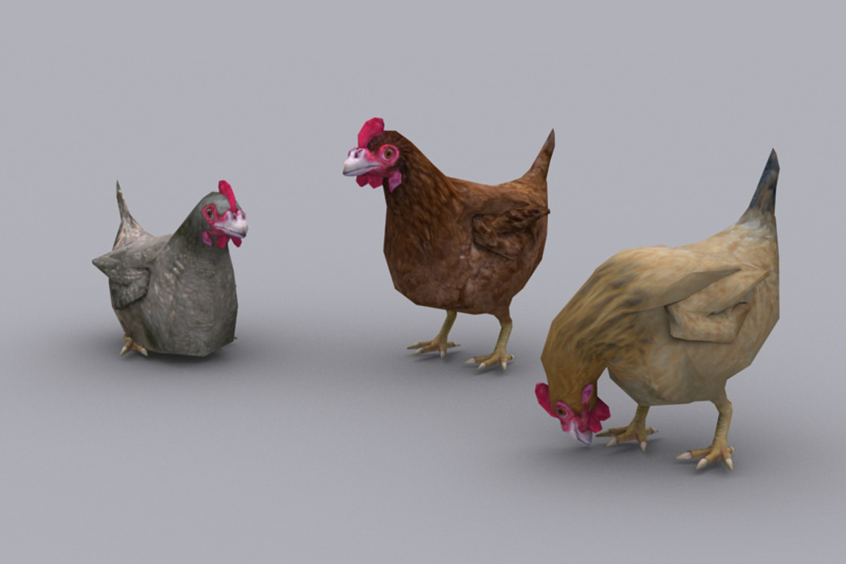 CHICKEN fbx only, an Animal 3D Model by PROTOFACTOR