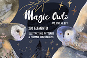 Magic owls: clipart collection | Creative Market