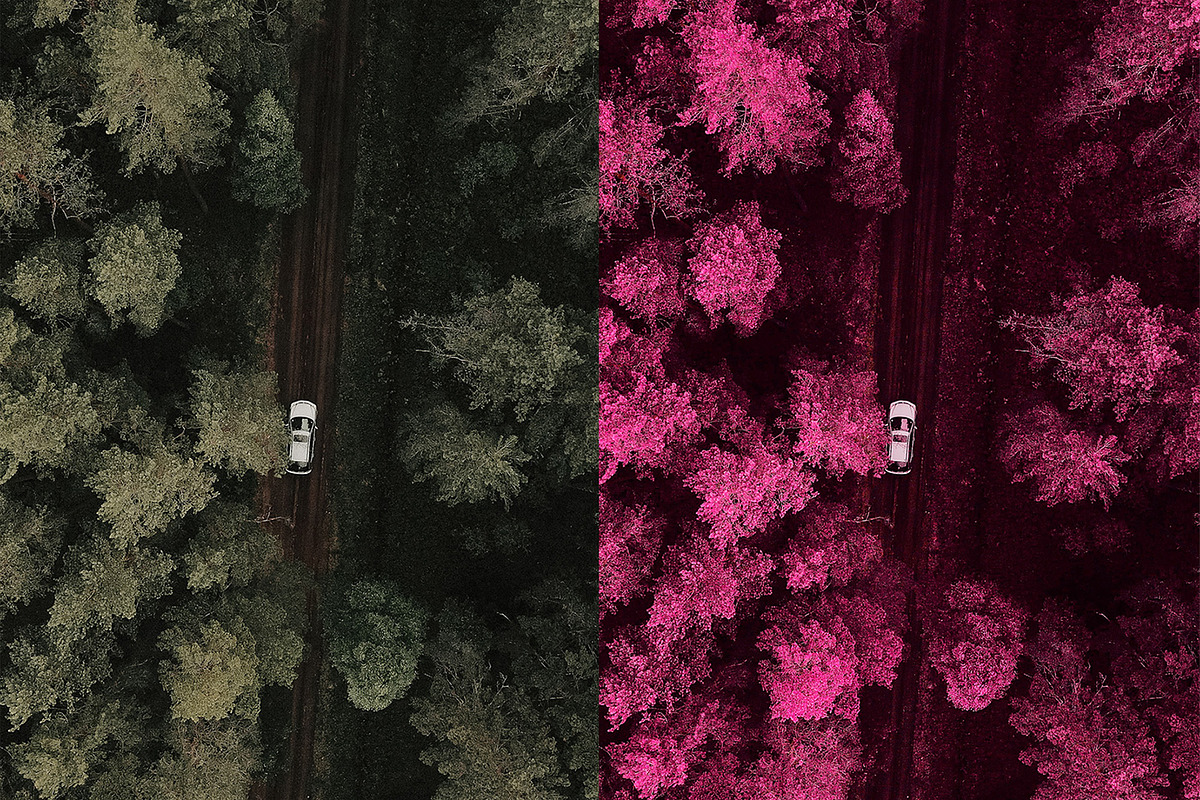 Infrared Rose — Lightroom