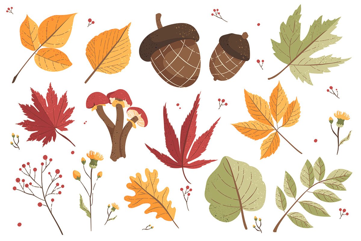 Autumn Fall Vector Clipart Bundle, an Object Graphic by DesignerCandies