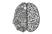 Human machine brain | Graphics ~ Creative Market