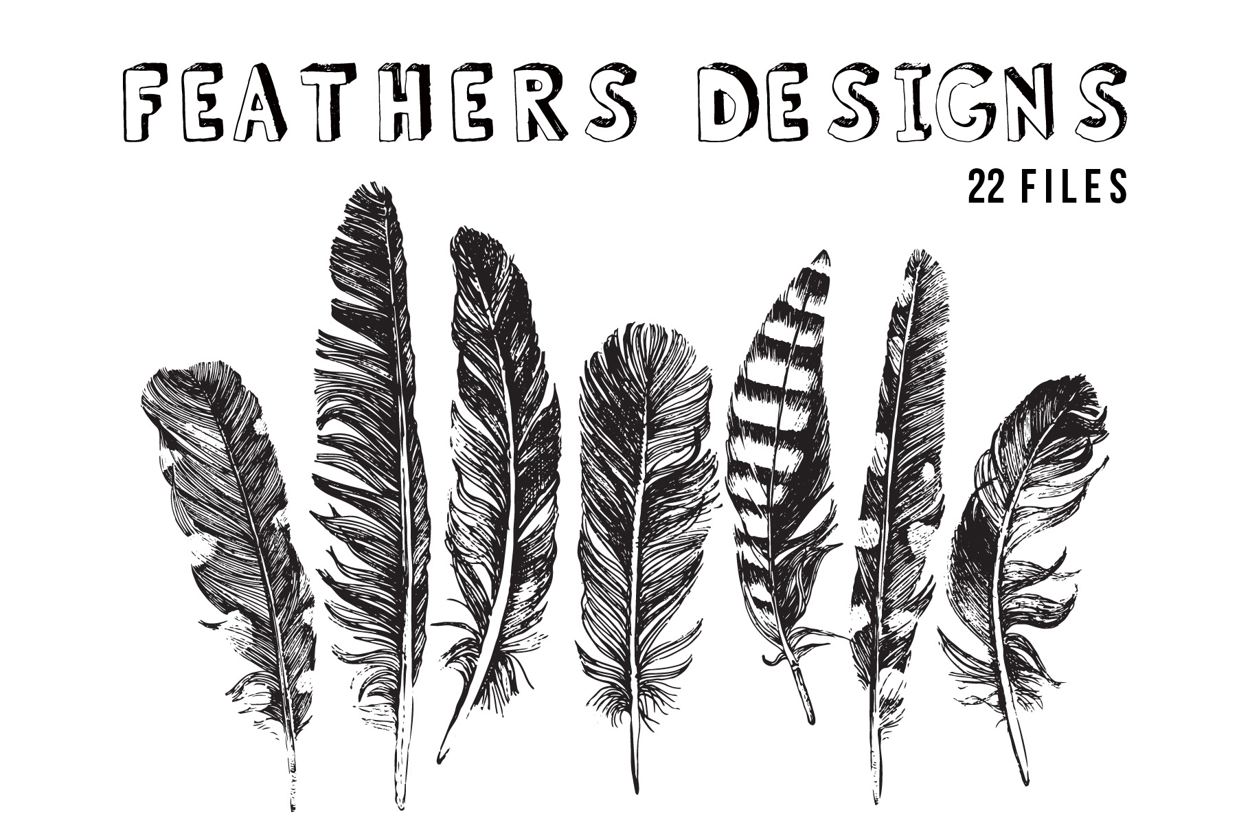 Hand sketched feathers collection, an Illustration by handsketched