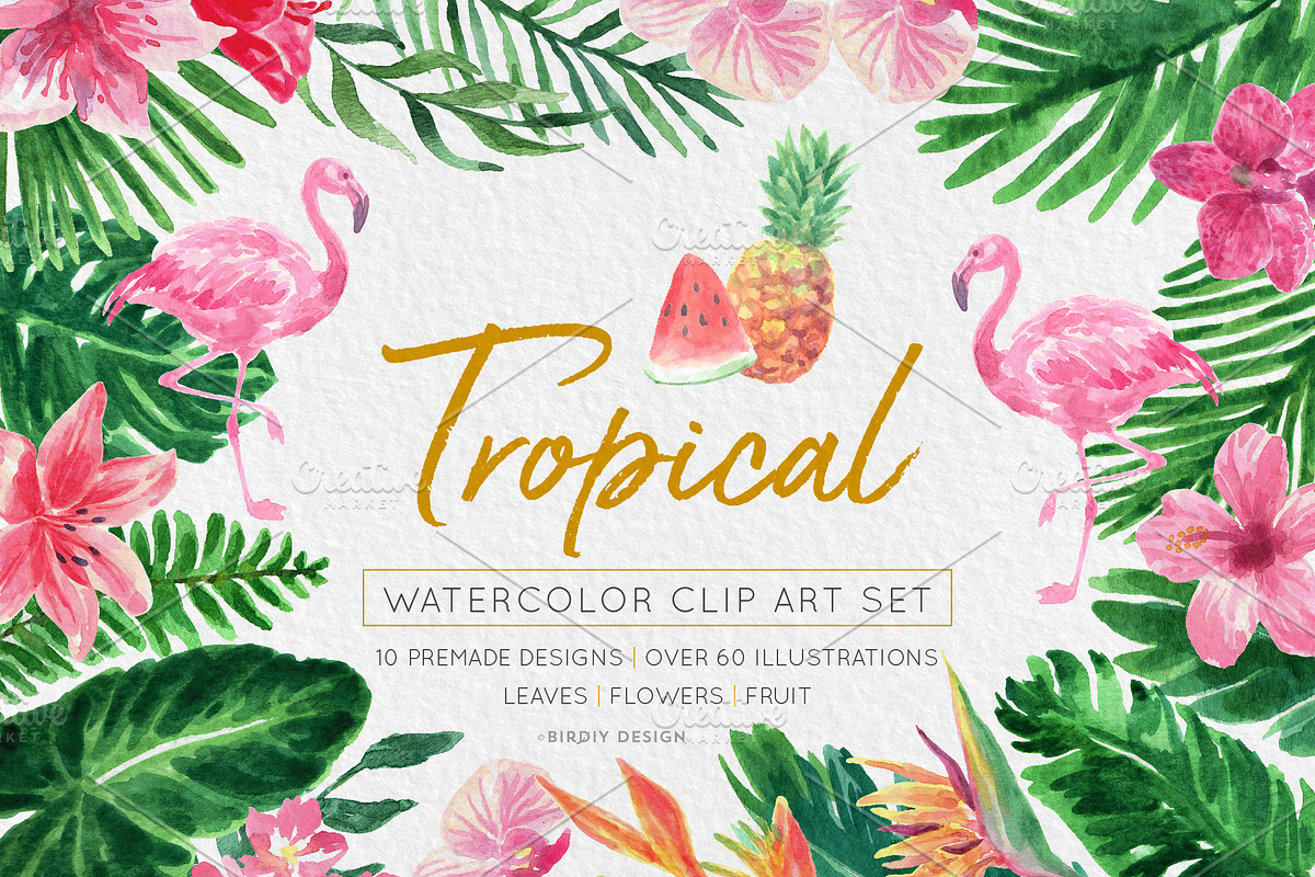 Tropical Watercolor Florals Set, an Illustration by BirDIY Design ...