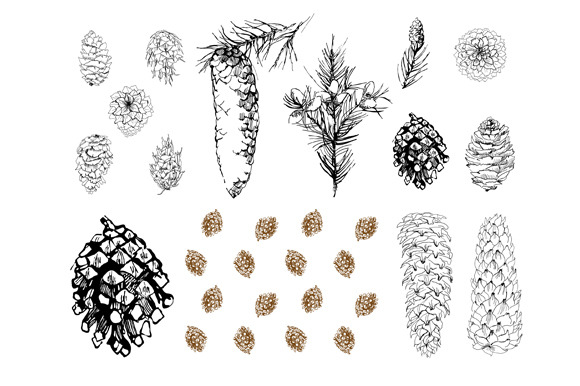 cones vector set, a Graphic by vergasova