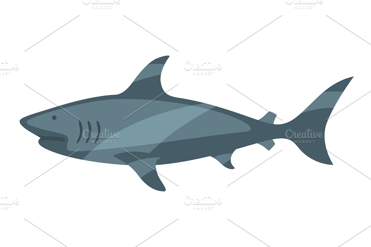 Stylized illustration of shark, an Animal Illustration by incomible ...