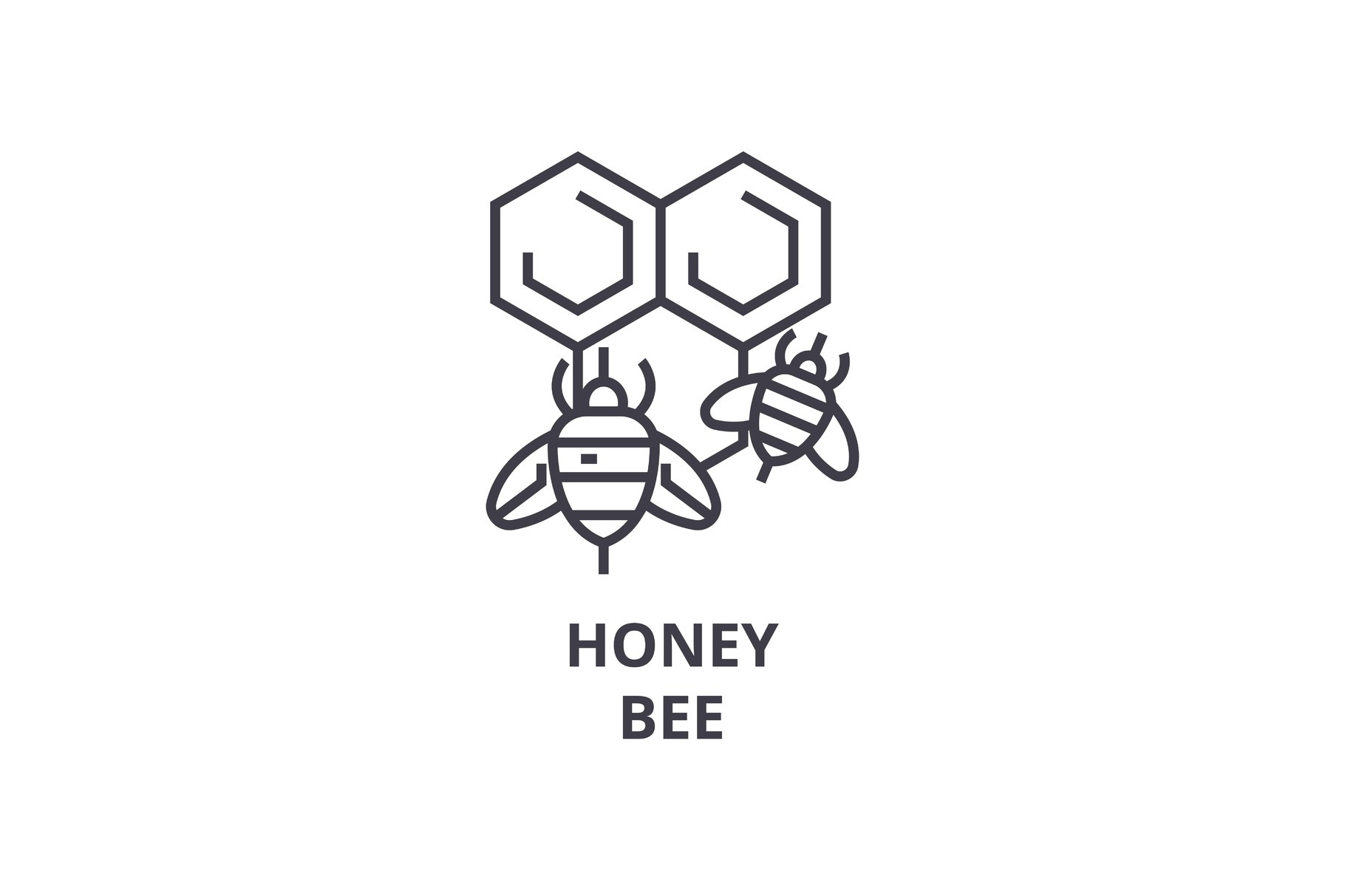 honey bee line icon, outline sign, linear symbol, vector, flat ...