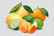 Citrus fruits | Graphic Objects ~ Creative Market