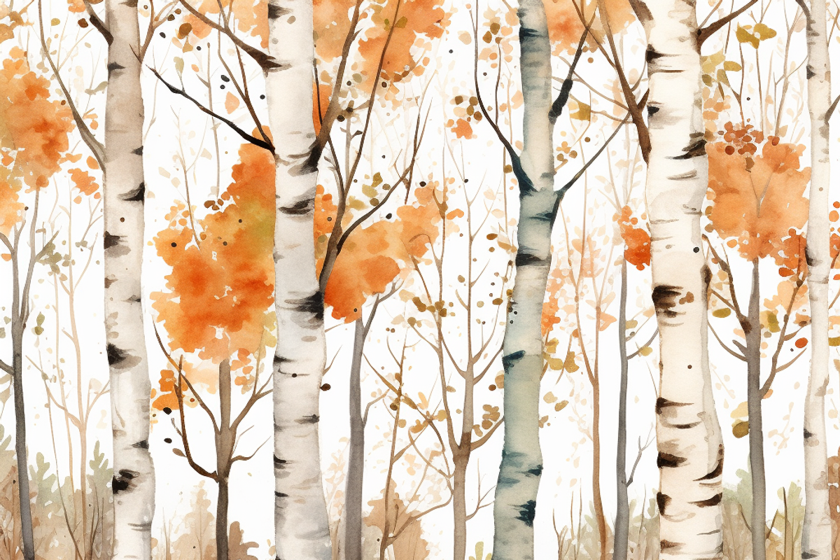 Watercolor Autumn Birch Trees Forest, an Object Graphic by Printable ...