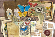 Butterfly Scrapbook Kit