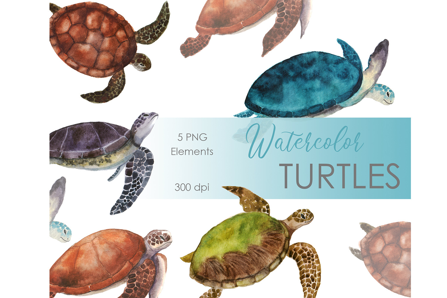 Watercolor Sea ocean Turtle Clipart, an Animal Illustration by ...