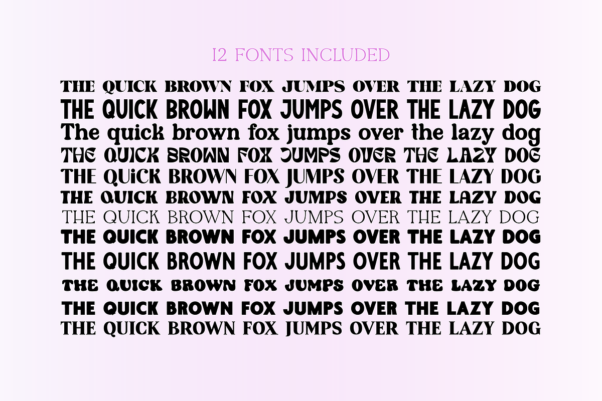 STYLISH MODERN Font Bundle V1, a Sans Serif Font by Blush Font Co.