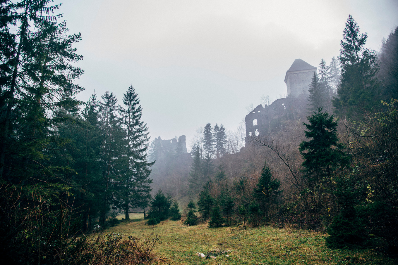 Abandoned castle ruins in the forest featuring castle, ruins, and ...