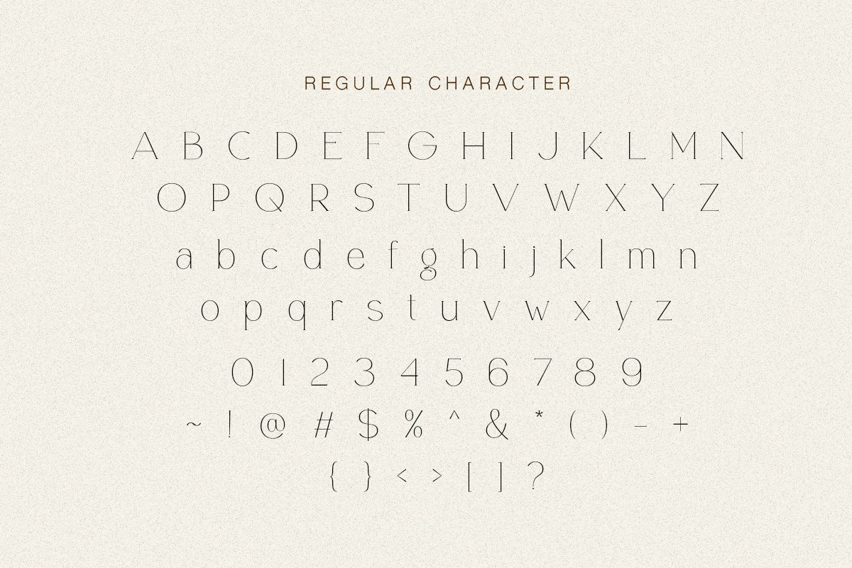 Retrophile - Elegant Light Serif, a Serif Font by Bale Type