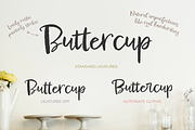 Epicursive Script & Dingbats, a Script Font by KLUGE+CO