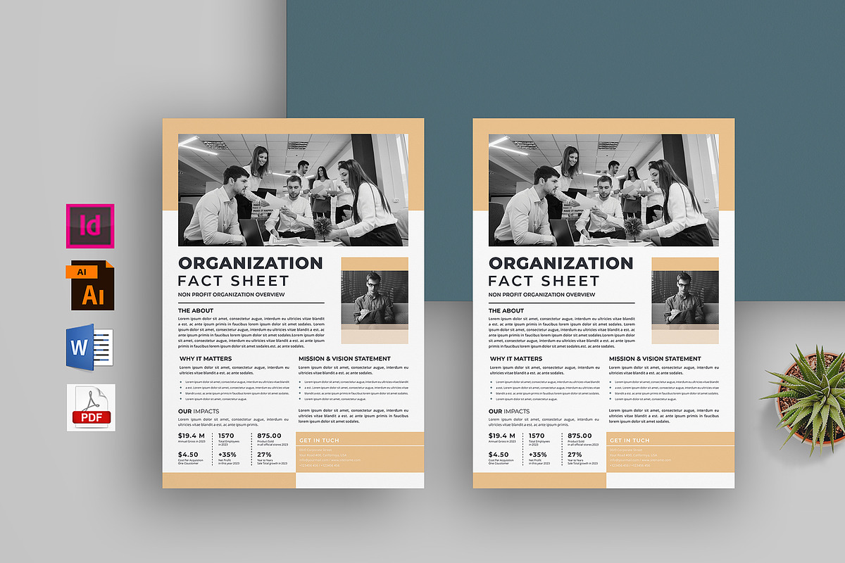 Nonprofit Organization Fact Sheet, a Flyer Template by obayes