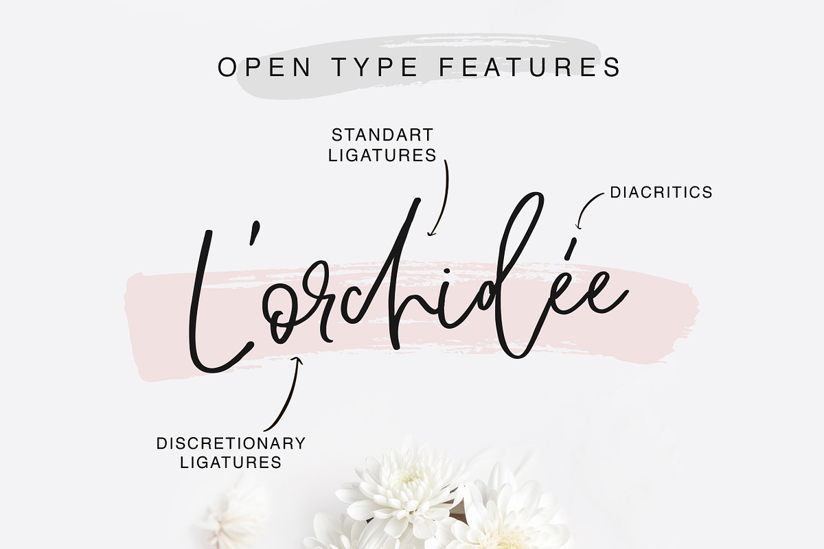 Wisteria Script, a Script Font by Calamar Studio