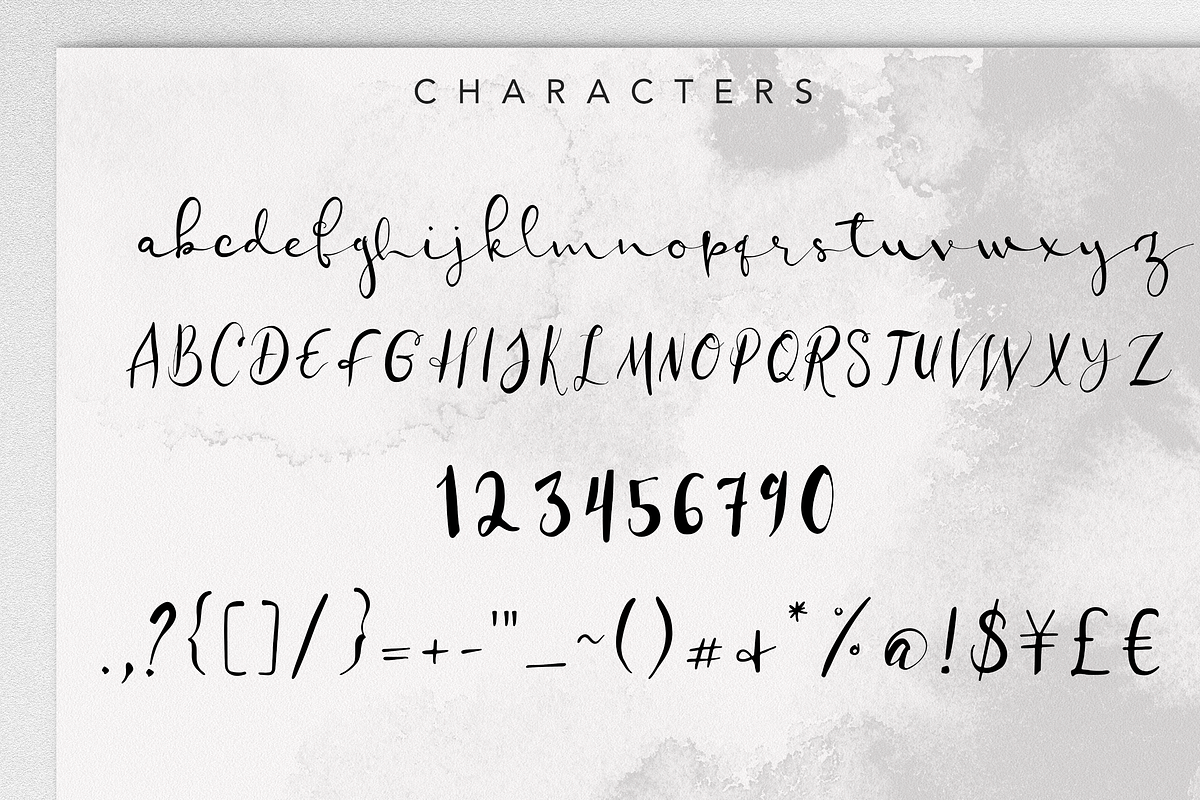 Serpentine Script Font Family, a Script Font by Wooly Pronto
