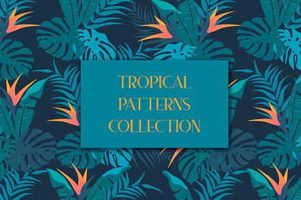 Tropical shapes | Graphic Patterns ~ Creative Market