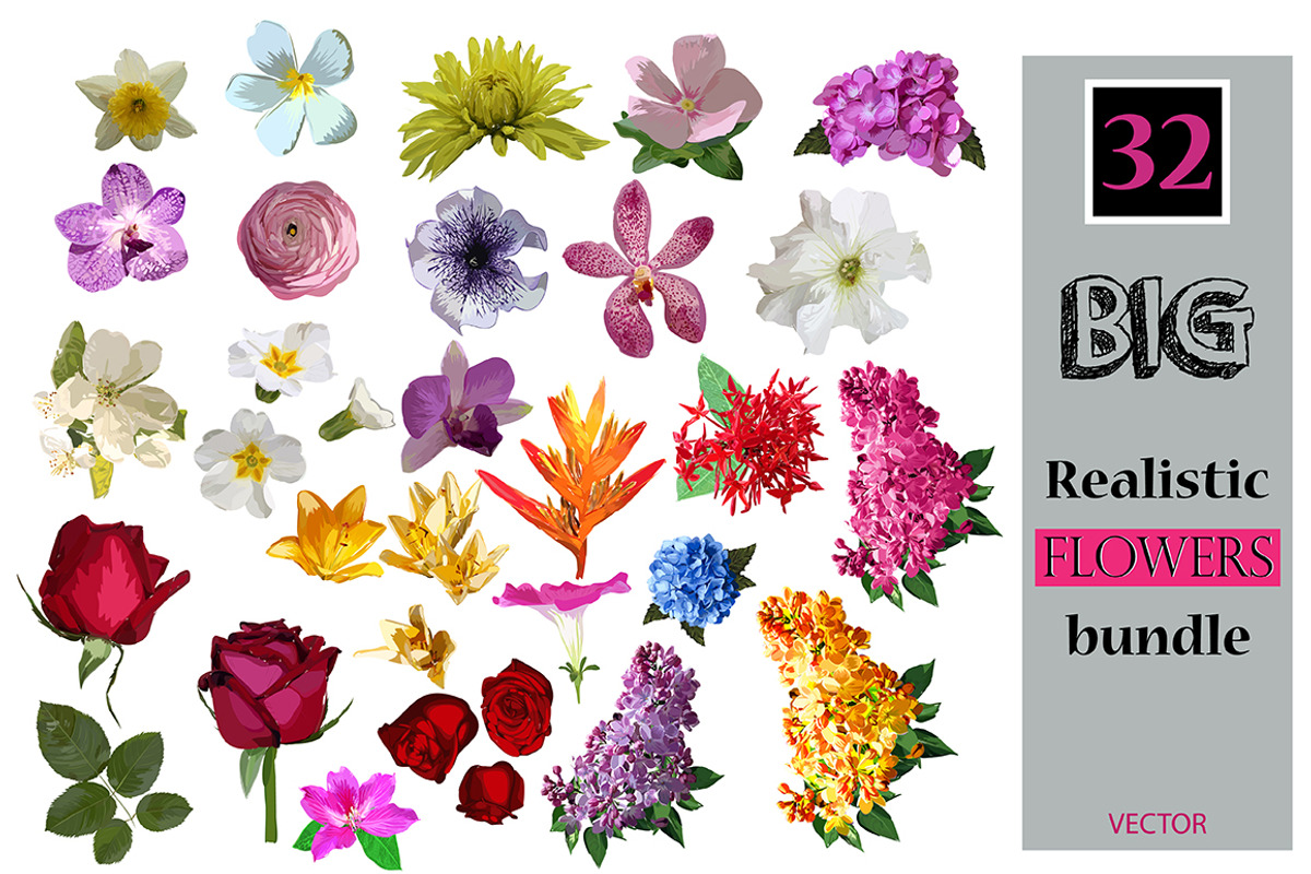 32 Realistic flowers bundle., an Illustration by redstudio