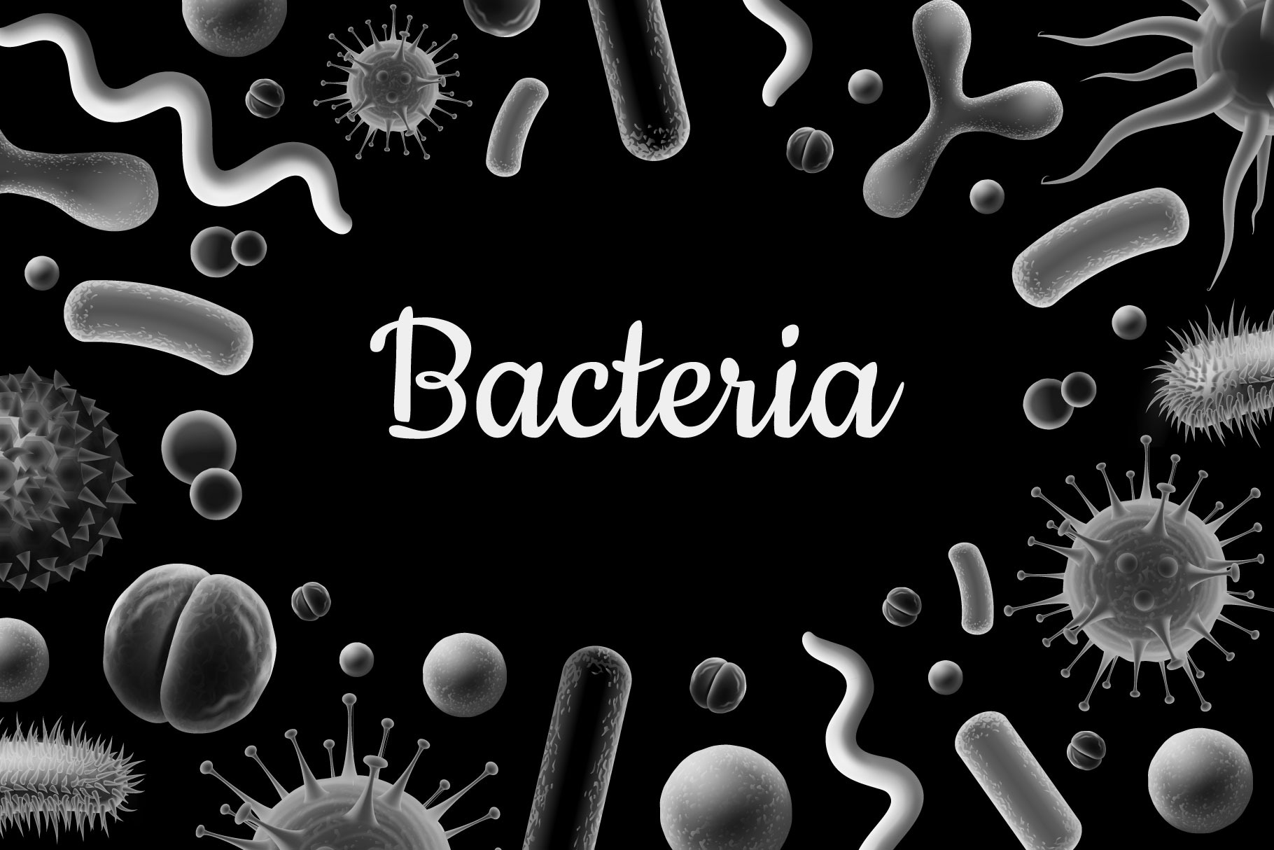 Vector Realistic Bacteria Set, an Education Illustration by Zonda