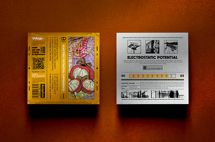 Information Flyer Template, a Flyer Template by Wolfordeer