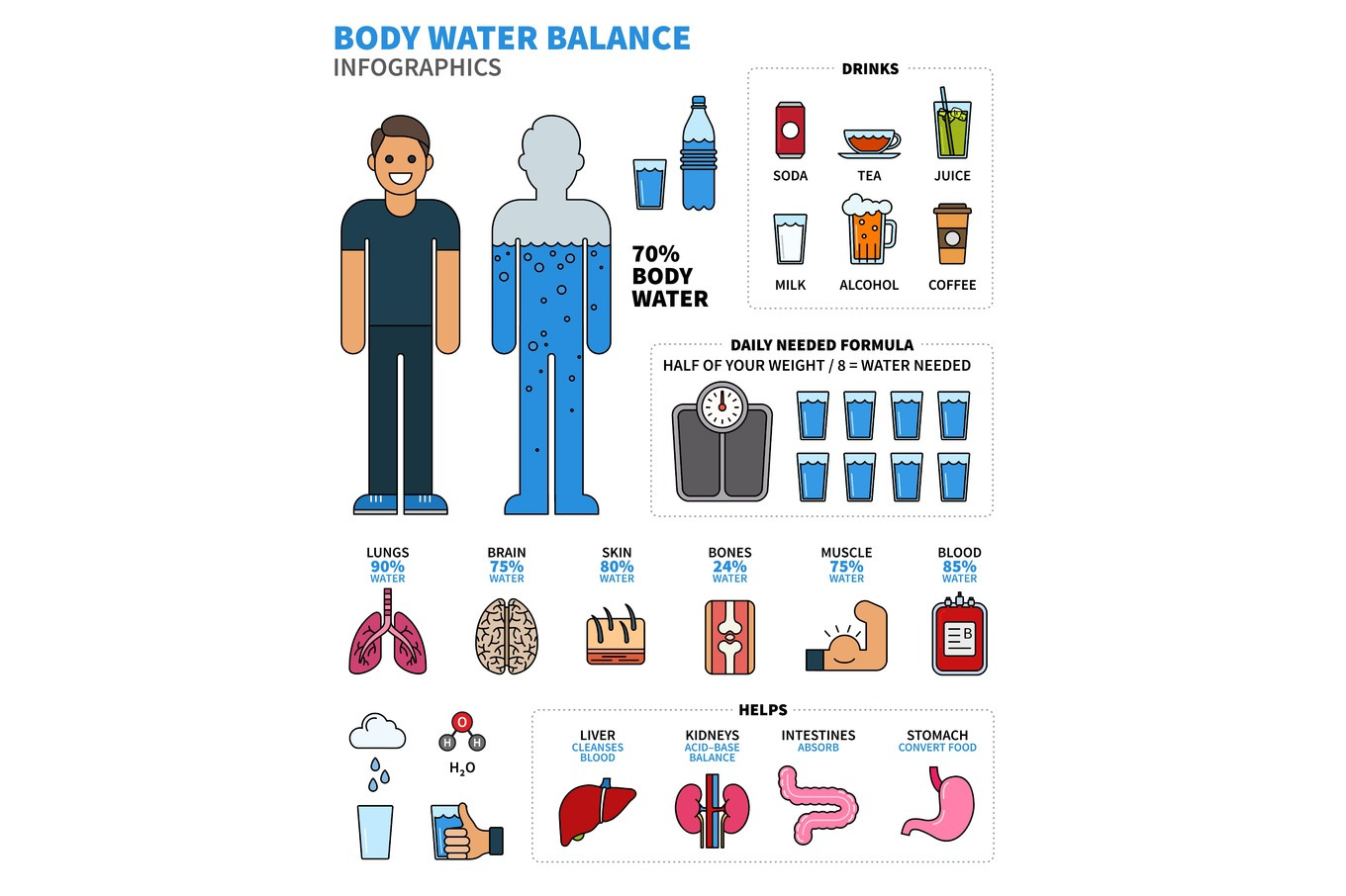 Body Water Infographics with Human Organs, Drinks and Calculatio, an ...