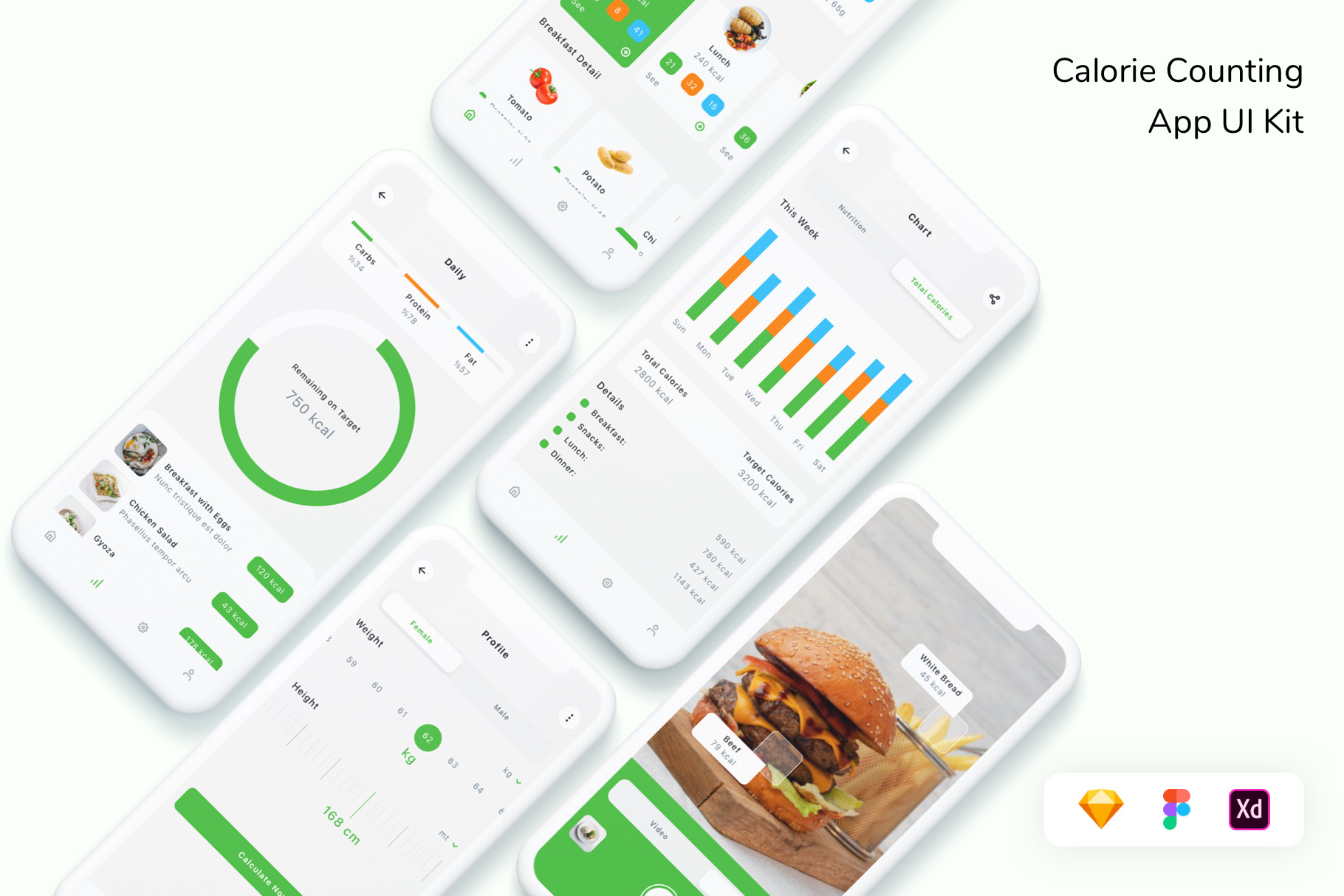 Calorie Counting App UI Kit, an App Template by Betush