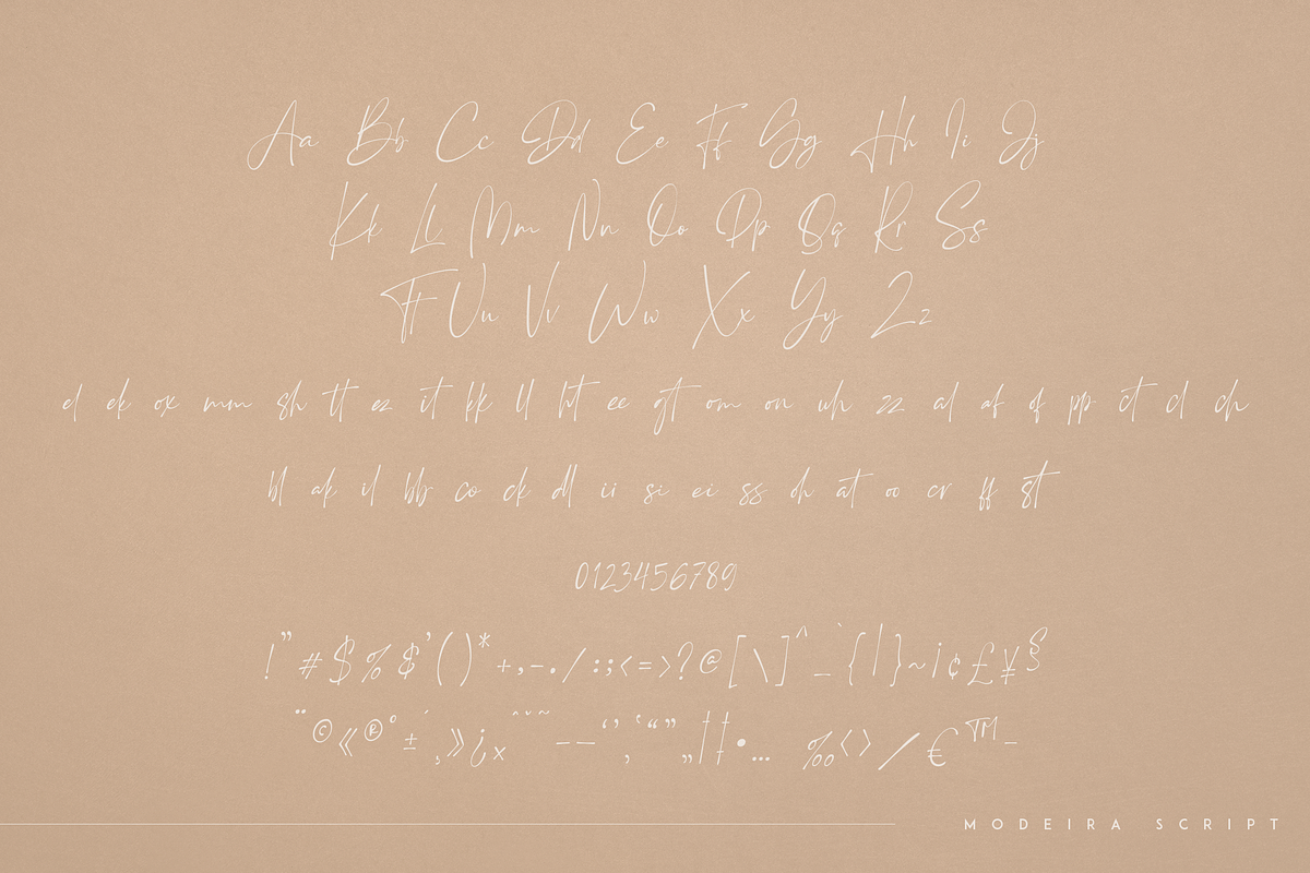 Madeira - handmade script font