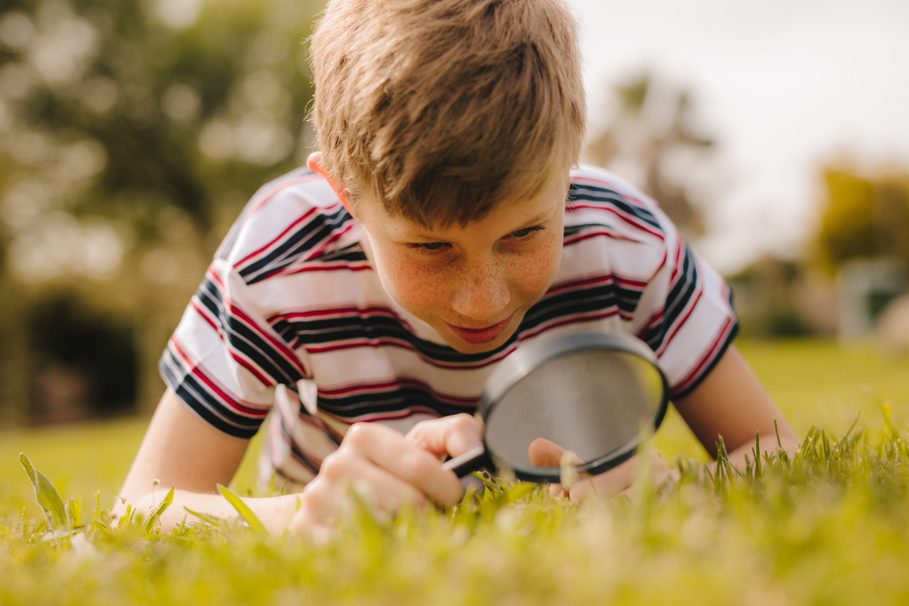 Boy exploring garden featuring adventure, boy, and caucasian, a Person ...