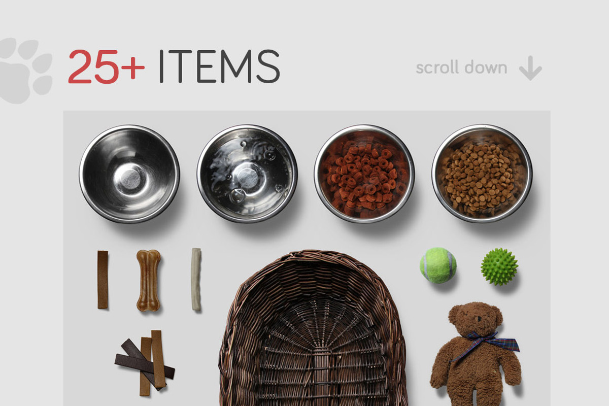 Pet Scene Generator, a Product Mockup by h3design