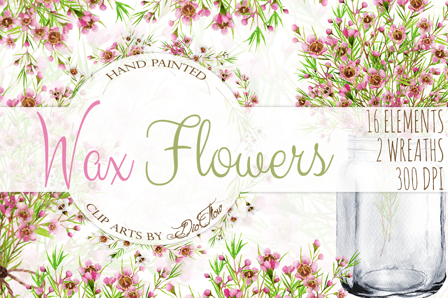 Wax Flowers Watercolor Clip Art, a Decorative Illustration by DioFlow