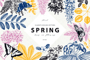 Vector set of spring trees in flowers | Creative Market