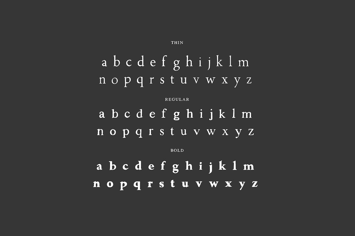 Walker: a Handlettered Serif, a Serif Font by Margot + Co