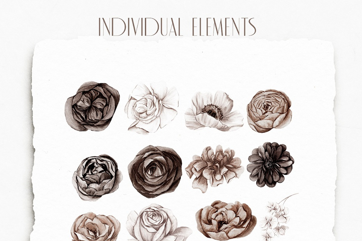 Neutral Boho Flowers, an Illustration by BlumenSoul