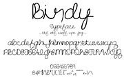 Font Birdy Cursive Script Fun Cute, a Script Font by PageLightStudios